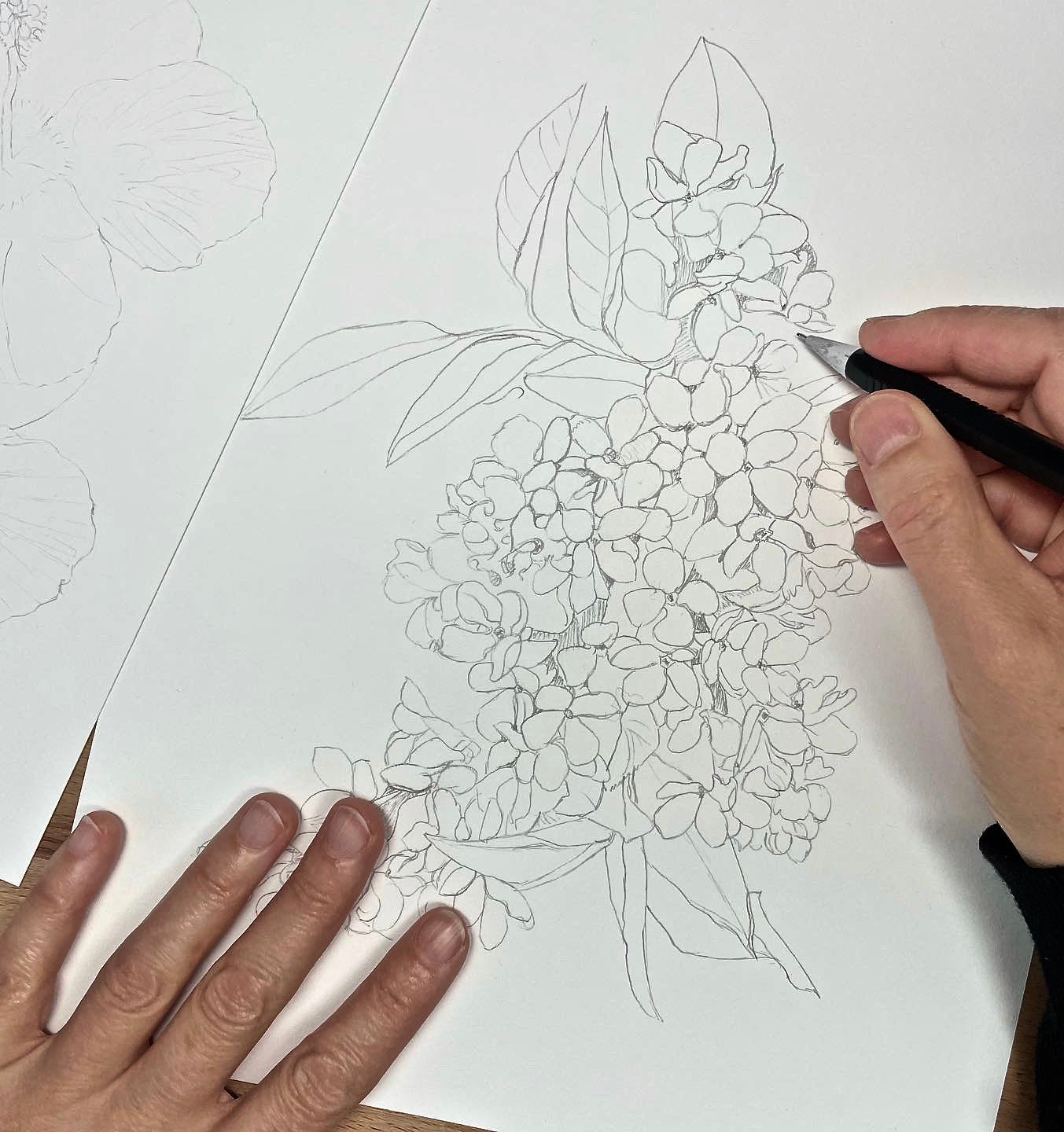 Stéphanie Schouvey - Leçon 4 : Comprendre l'architecture d'une fleur